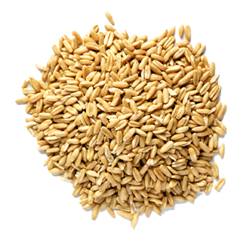 Oves iz ekološke pridelave, oluščen